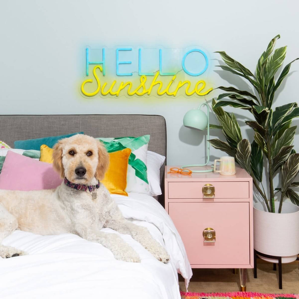 HELLO SUNSHINE LED NEON SIGN – Brite Lite Tribe